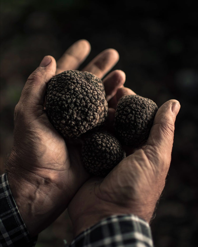 Urbani Truffles online shop